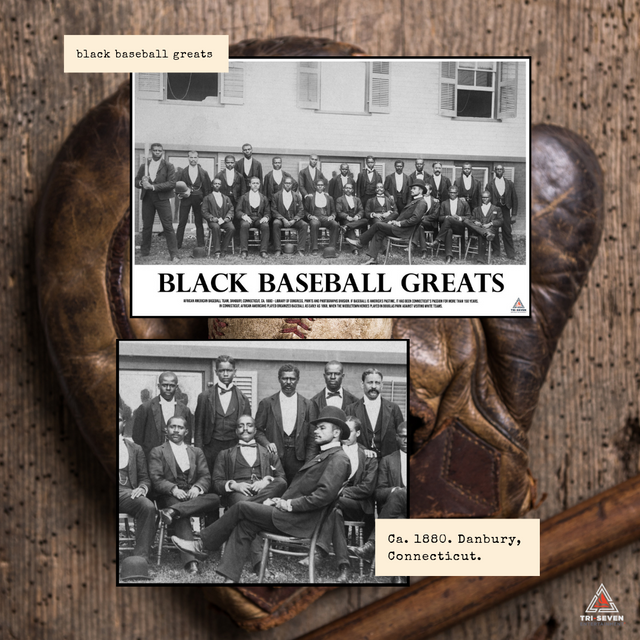 Black Baseball Greats Poster African American History Print (17x11)