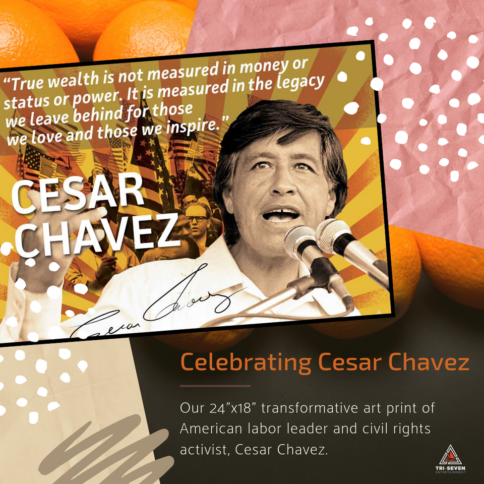 Cesar Chavez Poster Quote Labor Activist Education Art Print (24x18)