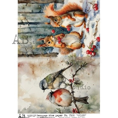 AB Studios Winter Squirrels & Birds A4 Rice Paper