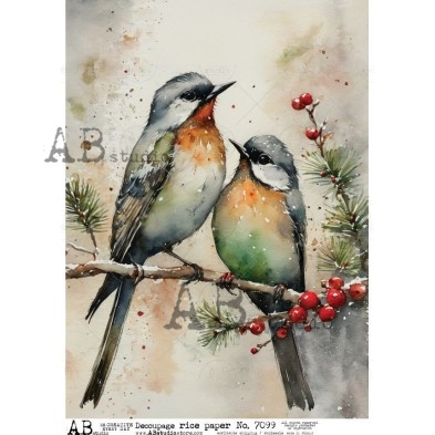 AB Studios Winter Birds on Branch A4 Rice Paper
