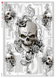 Embrace the Unique with Paper Designs Skull 0020