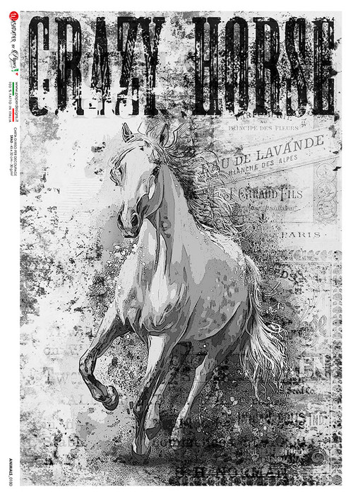 Paper Designs Crazy Horse II Animals 0180