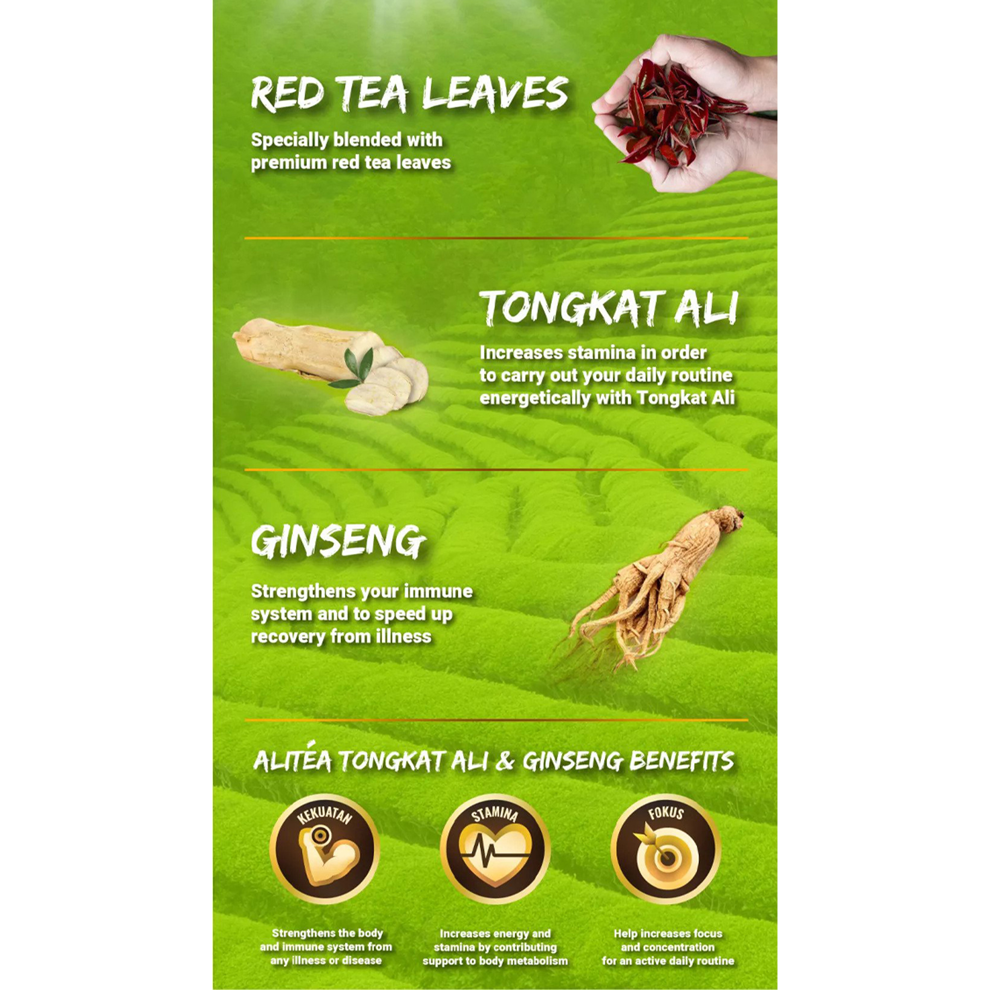 Bag of 18 x 20g Tea Tongkat Ali Alicafe Ali Cafe Power Root Sachets ...
