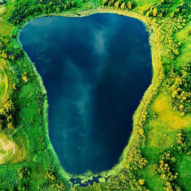 Hydrothol Granular | Algaecide for Ponds | The Pond Guy