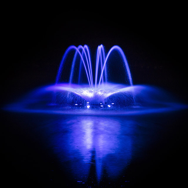 Why Are Ponds Important to the Environment? - The Pond Guy
