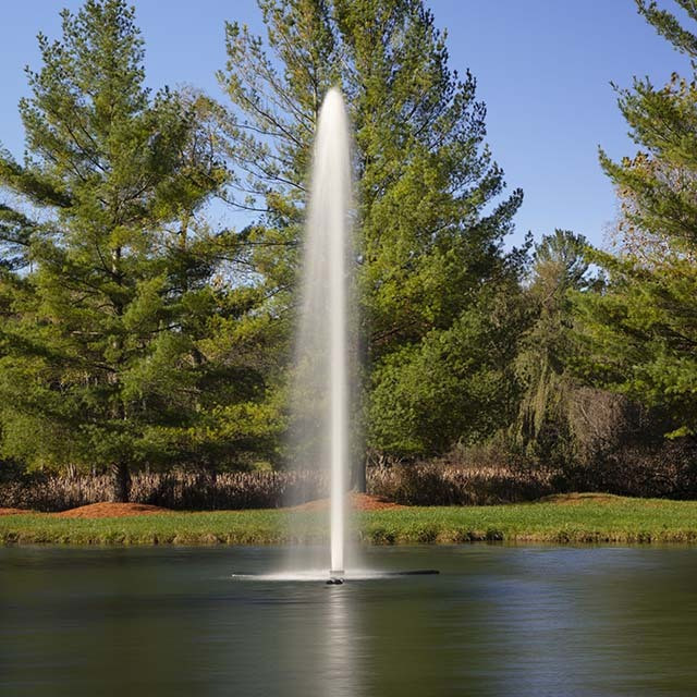 What Are Fun Lake Games for Kids to Play? - The Pond Guy