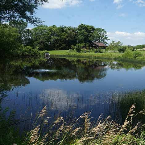Pond and Water Garden Supplies | The Pond Guy