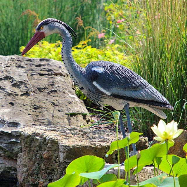 Aquatic Algaecides for Ponds and Lakes | The Pond Guy