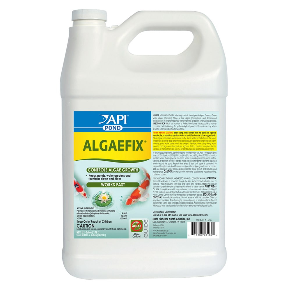 API Algaefix | Algae Control for Pond | The Pond Guy