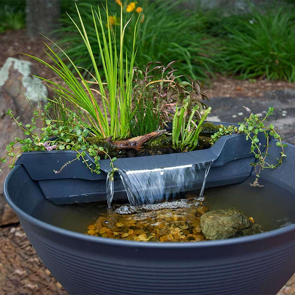 Mini AquaGarden Pond KIt | Patio Pond | The Pond Guy