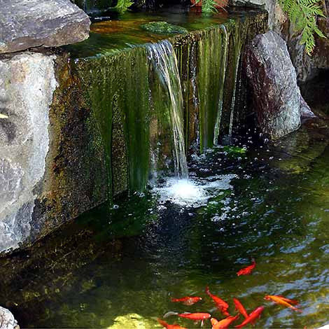 How to Remove Debris From Your Waterfall - The Pond Guy