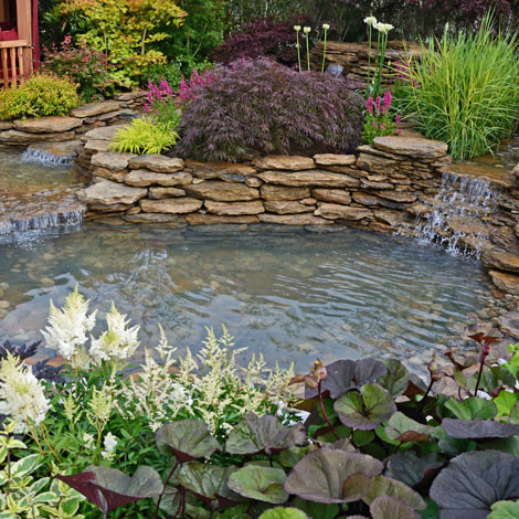 Essential DIY Backyard Pond Kit Supplies - The Pond Guy