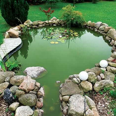 Pond Algae Control: Remove & Prevent Blooms - The Pond Guy