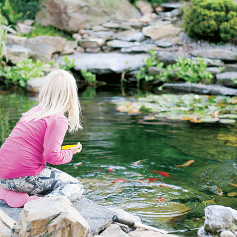 Choosing Pond Fish Food - The Pond Guy