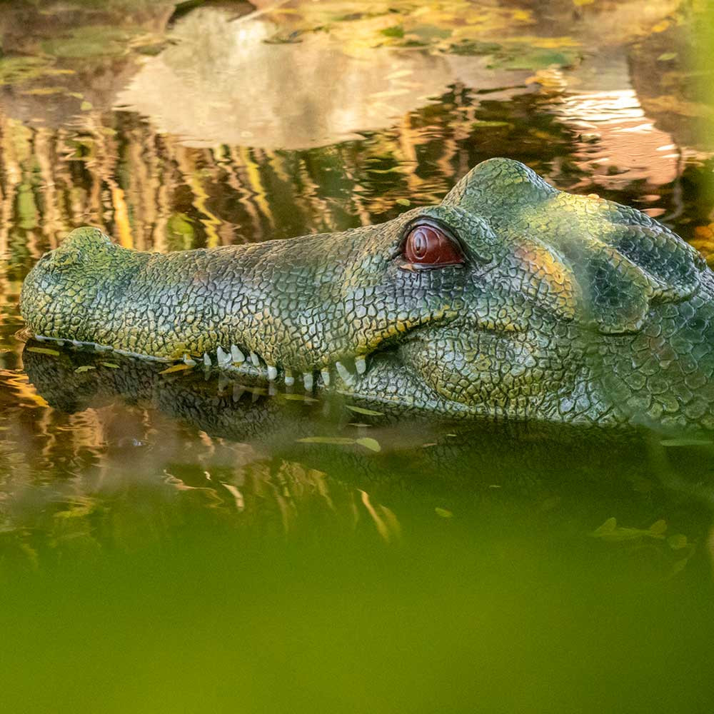 Alligator Head Decoy | Floating Alligator | The Pond Guy