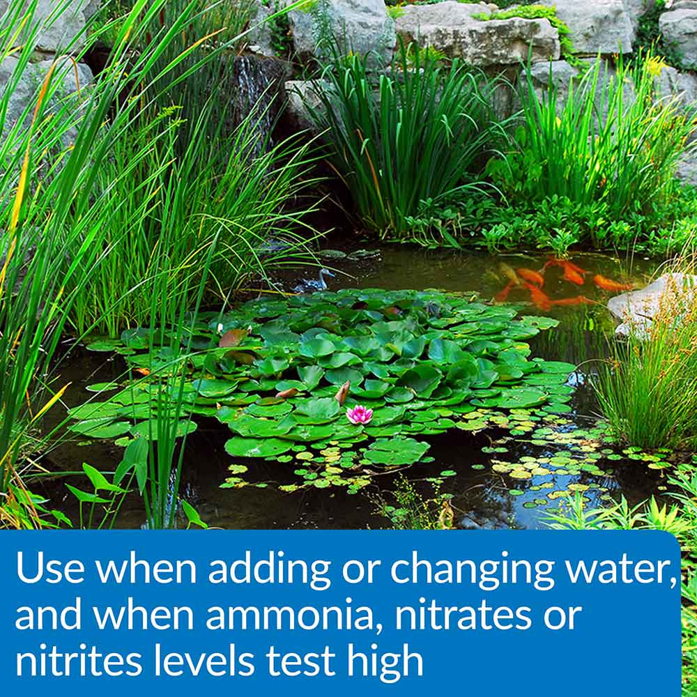 API Pond Aqua Essential | Water Conditioner | The Pond Guy
