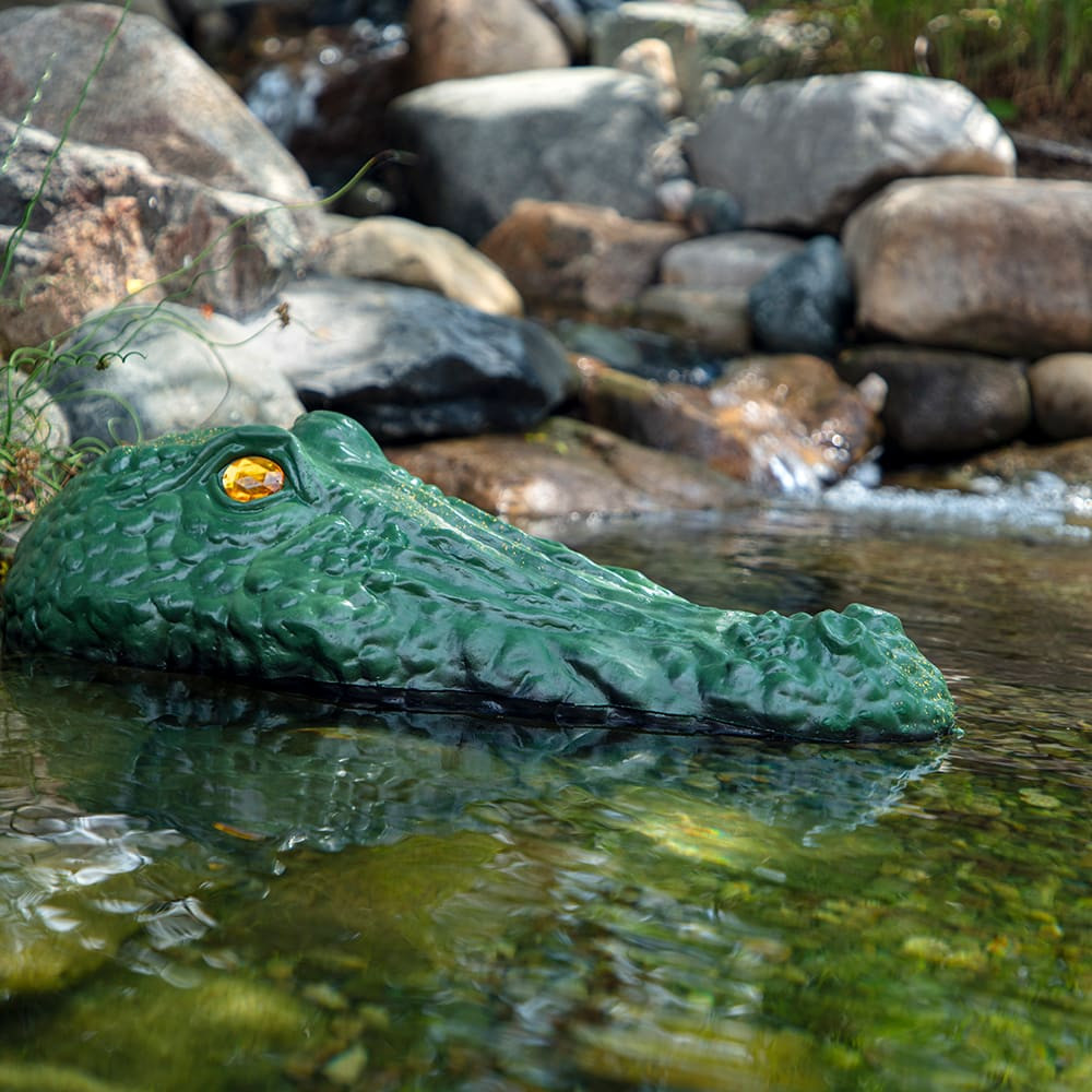 Floating Alligator Head | Predator Decoy | The Pond Guy
