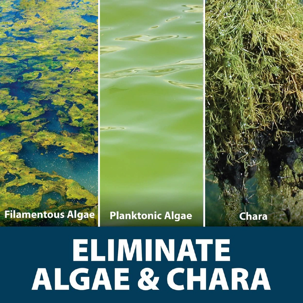 Airmax Algae Defense | Copper Algaecide | The Pond Guy
