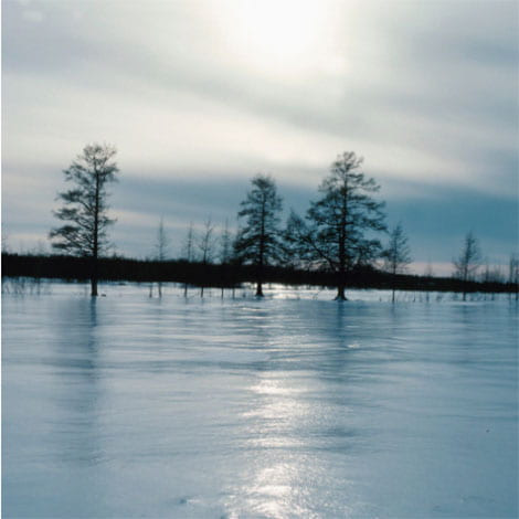 How can you tell if your pond is safe to walk on? - The Pond Guy
