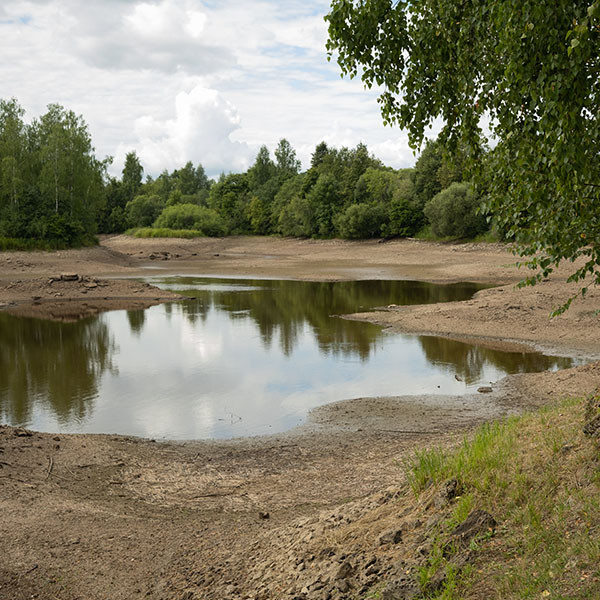 Caring for Drought-Prone Ponds - The Pond Guy