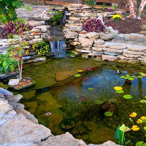 Types of Ponds and Water Features - The Pond Guy