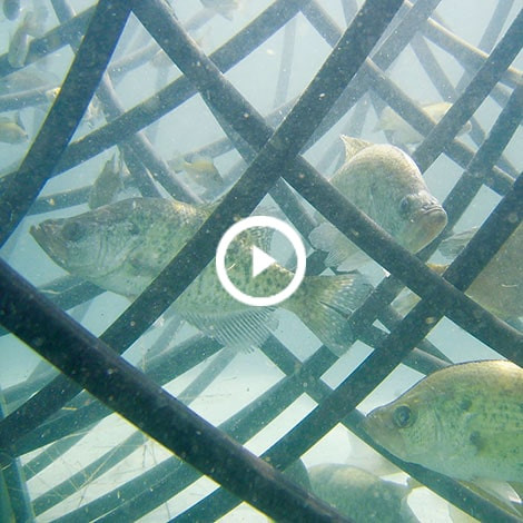 How to Create Fish Habitat - The Pond Guy