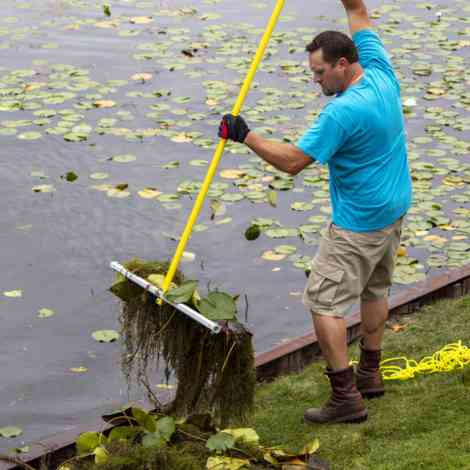 How Can I Get Rid of Pond Weeds Naturally? - The Pond Guy
