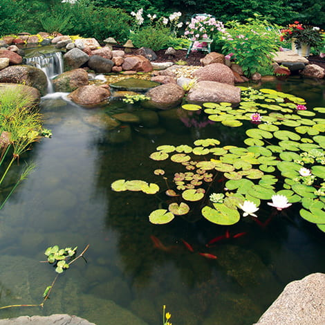 Which DIY Pond Kit Should I Choose? - The Pond Guy
