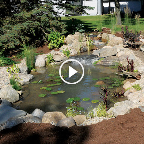 How to Build a Pond - The Pond Guy