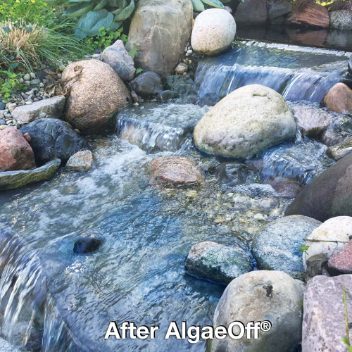 CrystalClear AlgaeOff | String Algae Remover | The Pond Guy