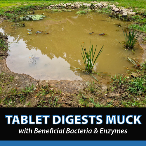 CrystalClear MuckOff | Pond Cleaner Tablets | The Pond Guy