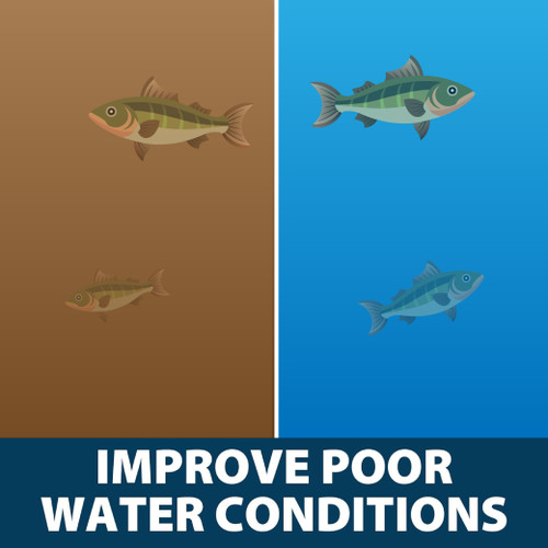 Airmax ClearPAC Plus | Pond Maintenance Kit | The Pond Guy