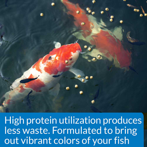 Cool Water Fish Food | API Pond Supplies | The Pond Guy