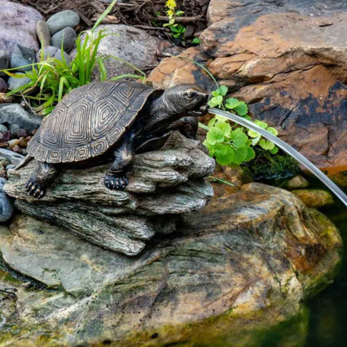 Pond Spitters Water Feature Upgrades | Pond Lights To Fountain