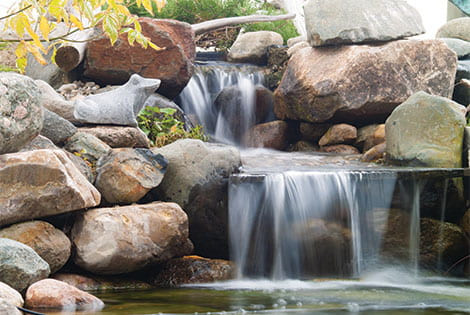 How to Clear Murky Pond Water Naturally - The Pond Guy