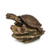 Aquascape Turtle on Log | Fountain Spitter | The Pond Guy