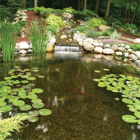 Benefits of the DefensePAC - The Pond Guy
