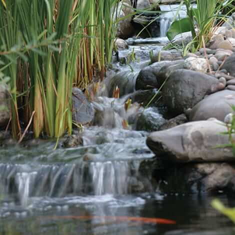 Choosing Filter Media - The Pond Guy