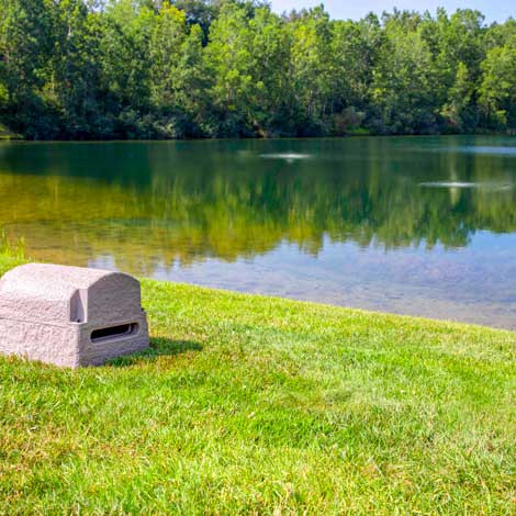 Can You Over Aerate a Pond? - The Pond Guy
