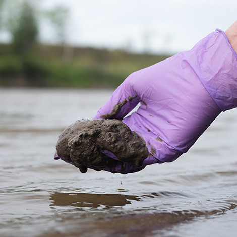 Muck Control - The Pond Guy