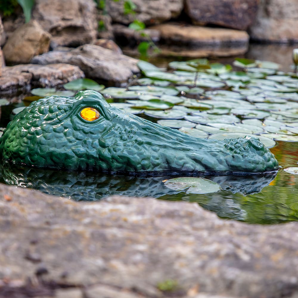 Floating Alligator Head | Predator Decoy |The Pond Guy
