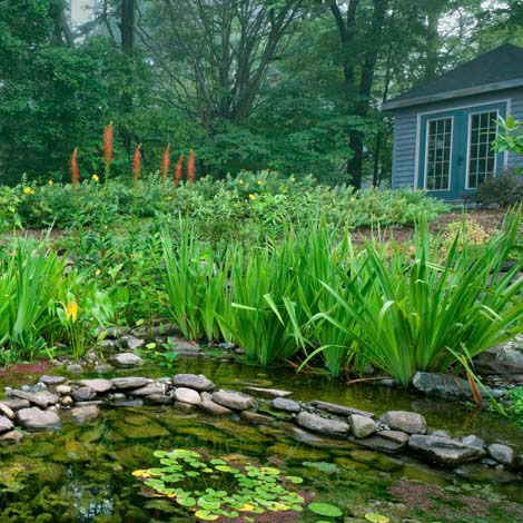 What is a Bog Filter? - The Pond Guy What is a Bog Filter? - The Pond Guy