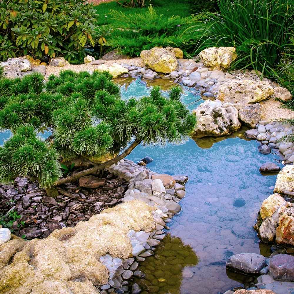 Can I Build a Spring-Fed Pond on My Property? - The Pond Guy