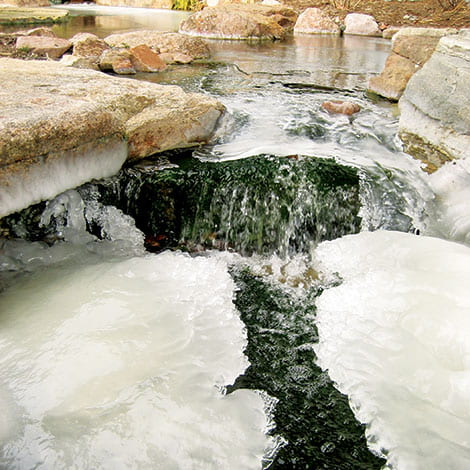 What can I do to prevent string algae from growing in the winter? - The ...