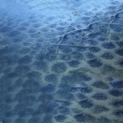 How can I create a fish spawning habitat in my pond? - The Pond Guy