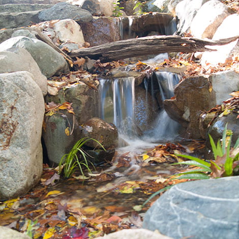 How to Clear Brown Pond Water - The Pond Guy