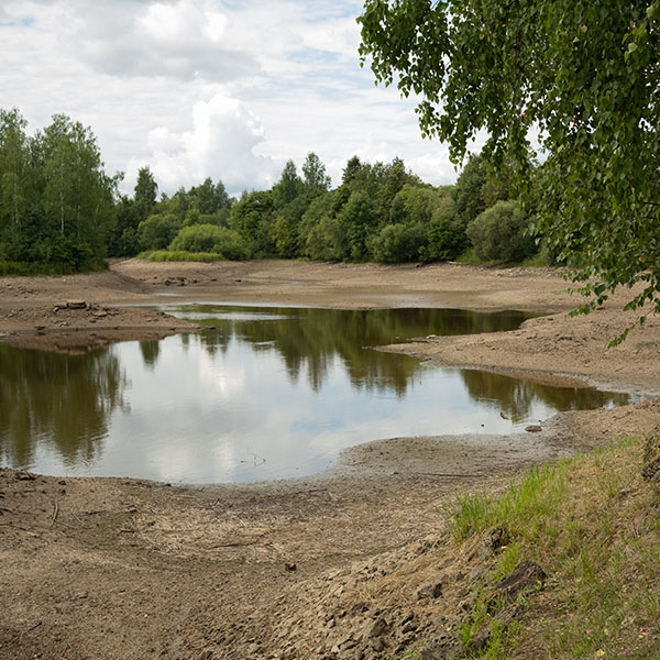 Caring for Drought-Prone Ponds - The Pond Guy