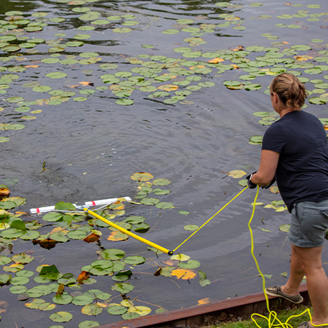 How Do I Drag Weeds Out of My Lake? - The Pond Guy