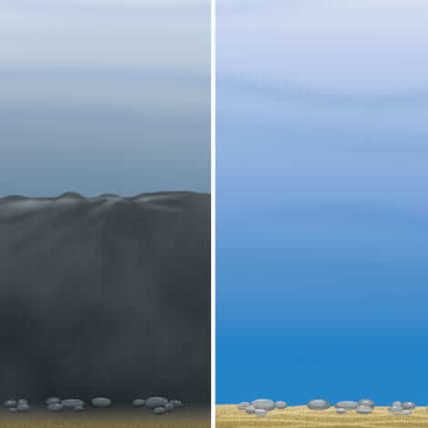 What is Muck? - The Pond Guy