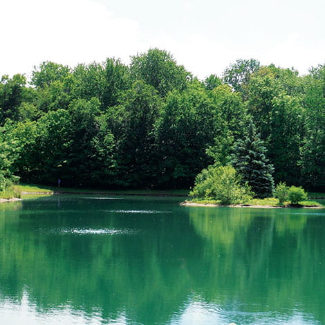 Why Depth Matters - The Pond Guy